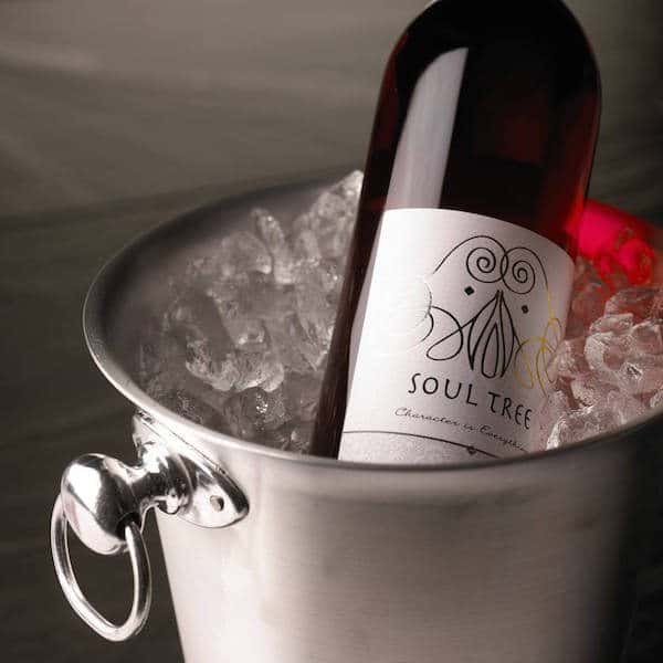 Soul Tree Winemaker Based In India Raises Equity In UK; Seeks £350,000 ...