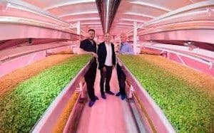 London's Growing Underground Seeks To Raise £200,000 On Crowdcube For ...
