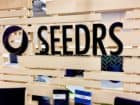 Seedrs Targets HNW / Wealthy Investors In Program With Financial ...