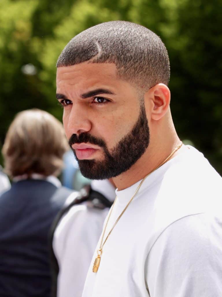 Recording Star Drake Uses Reg A+ To Raise Funding For Virginia Black ...