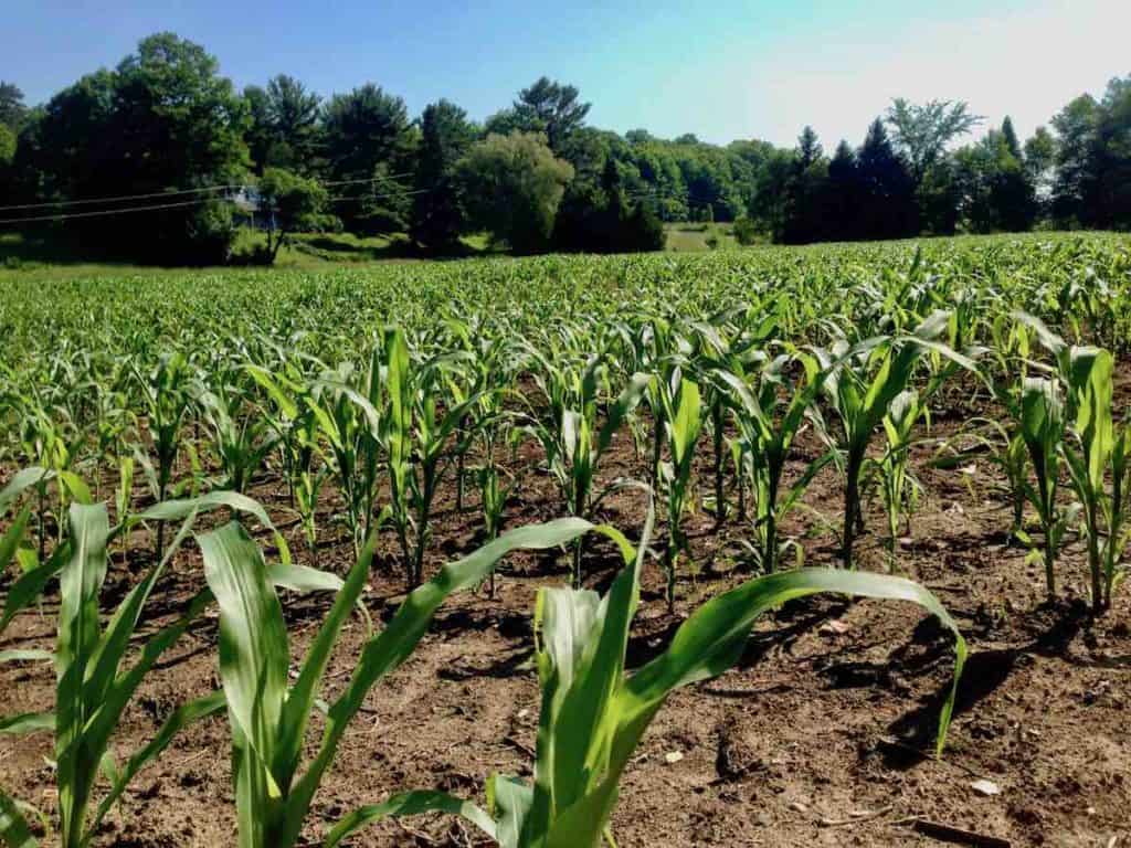 Overstock Founder Patrick Byrne Purchases 43% Of Blockchain Company ...