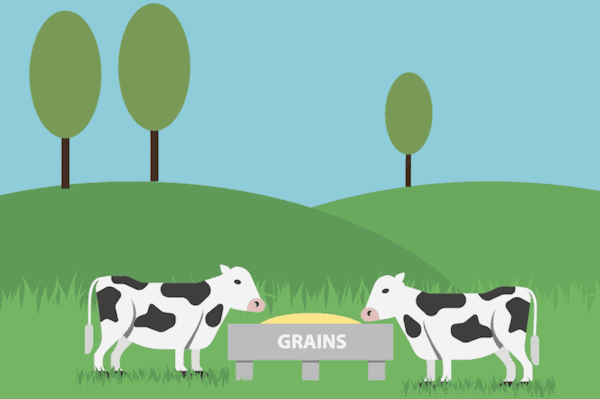 Update: Elemental Digest Set To Close Crowdcube Round With More Than £1 ...