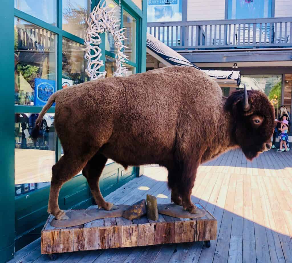 Blockchain Infrastructure Developer Bison Trails Will Be Powering ...