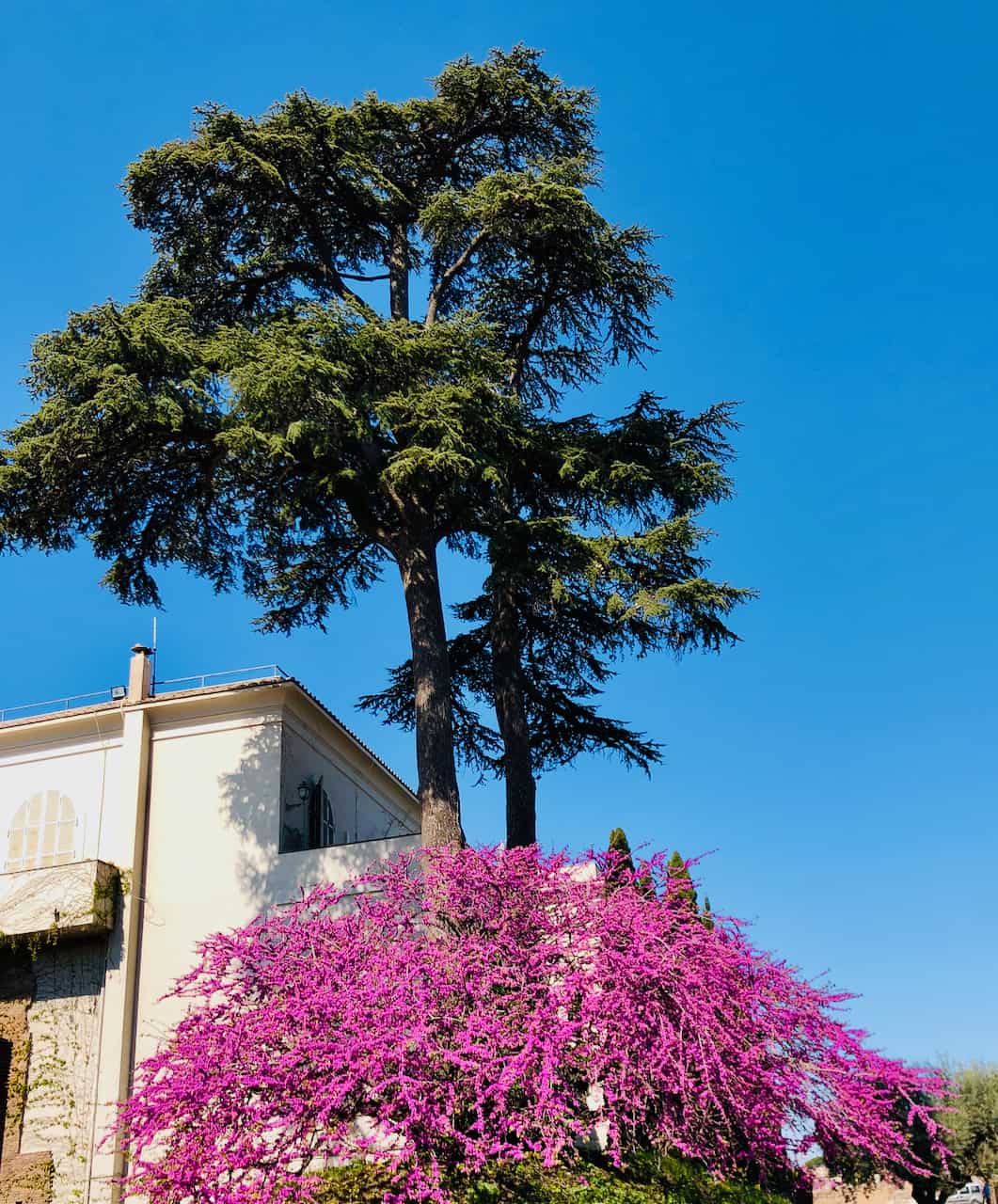 WisdomTree Announces Nine "Blockchain Enabled" Digital Funds ...