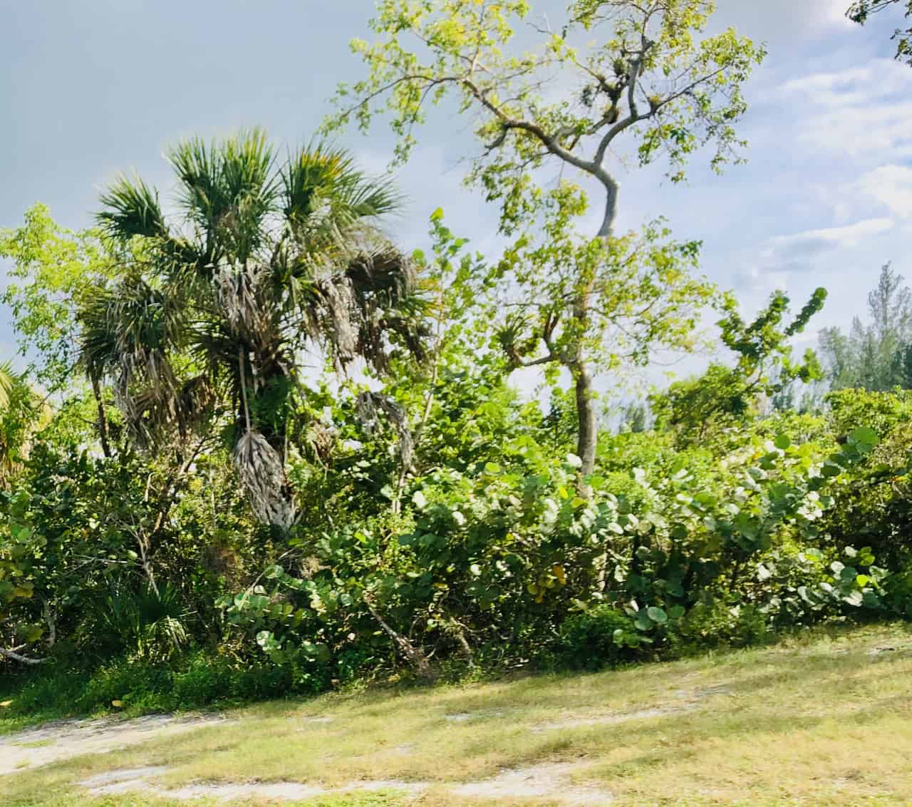 Embedded Payments Fintech Rainforest Acquires $11.75M Via Seed Round ...