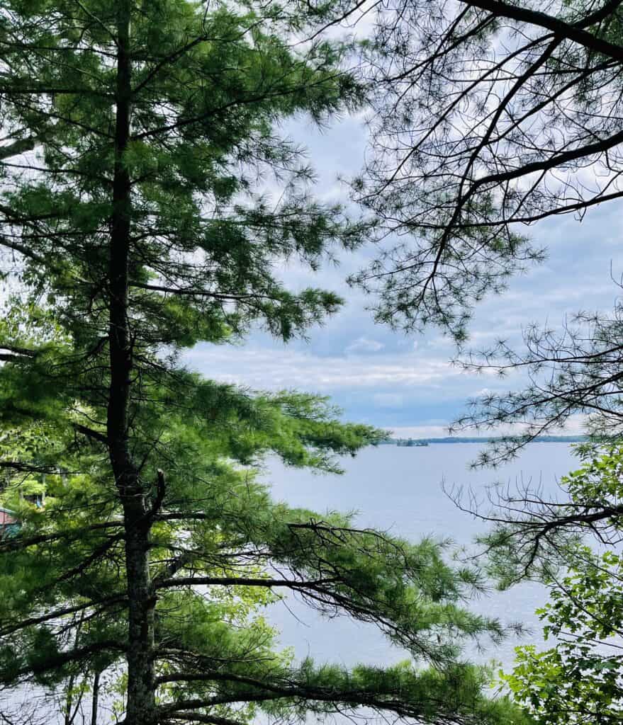 Former OnePlus India CEO Navnit Nakra Joins Fintech Pine Labs As CRO ...