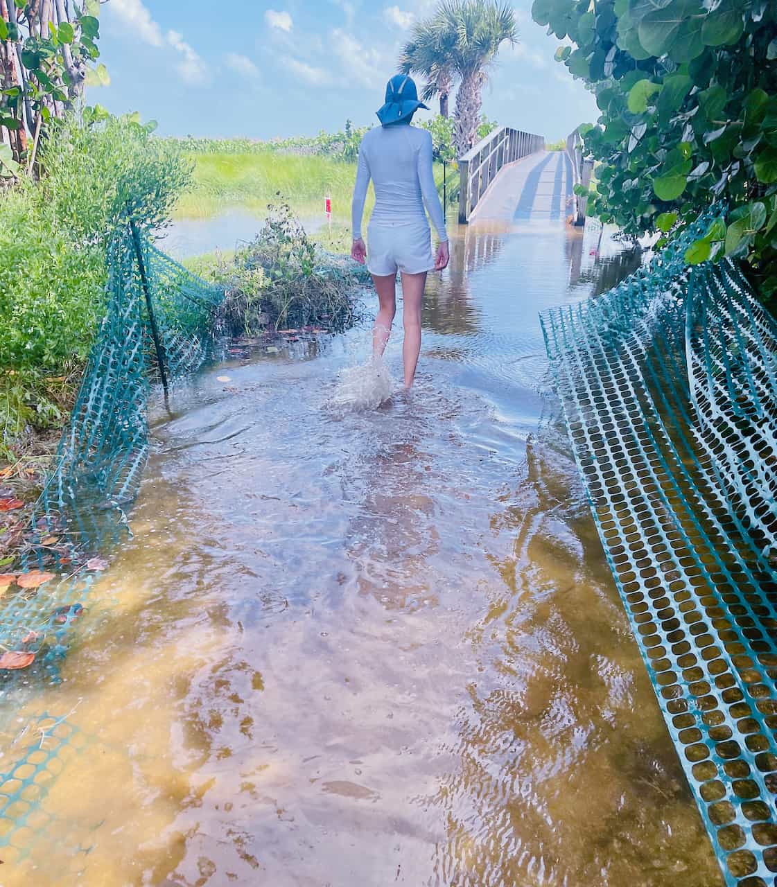 Real Estate: Majority Of Home Buyers Consider Climate Risks When ...