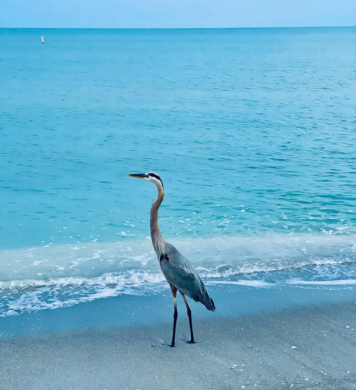 Open Wealth Platform Flanks Secures Funding Via Series A Led By ...