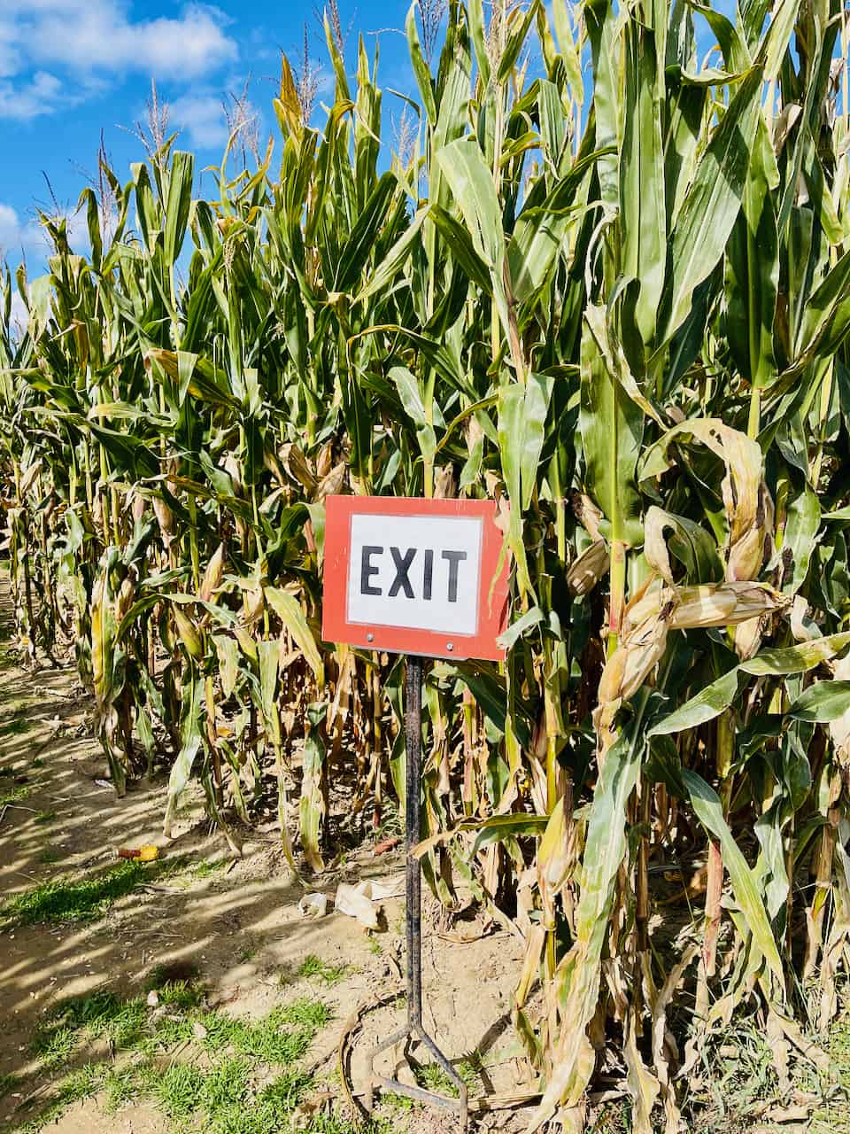 Tech Exits In H1 2025: AI M&A Surges, IPOs Loom, Secondaries Gain ...