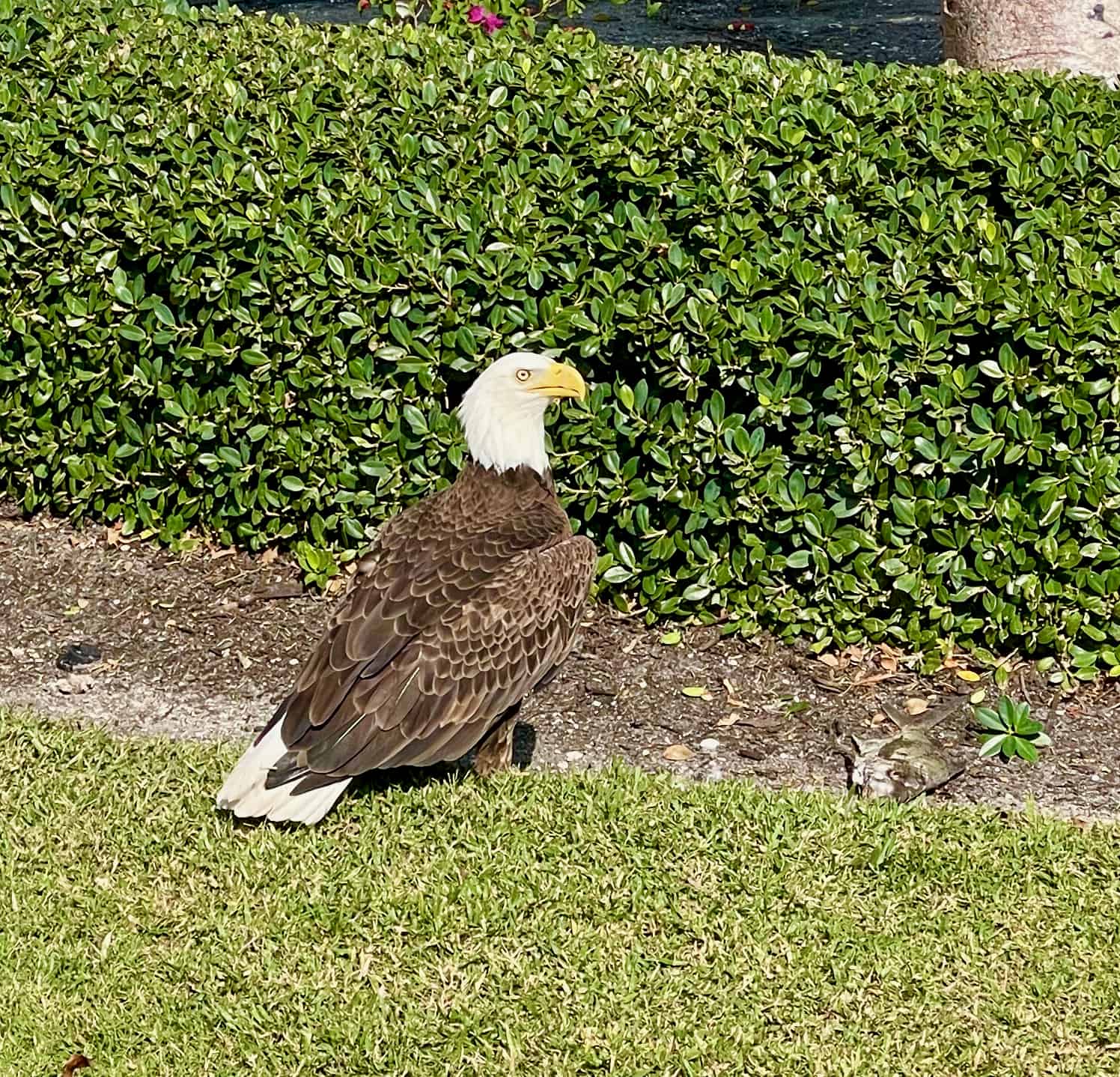 Truflation Is Joining Sources Providing Alternative Economic Data Sets ...