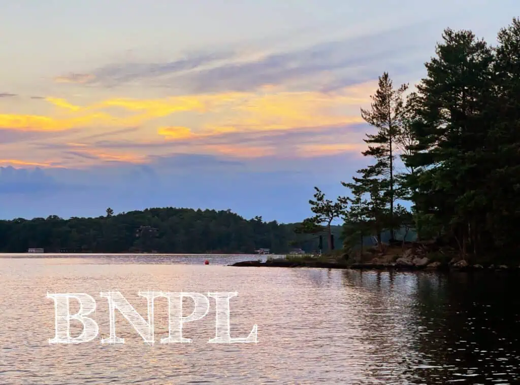 Socure Acquires Qlarifi, Forming Real-Time BNPL Credit System ...