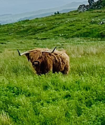 Cowbell Archives | Crowdfund Insider